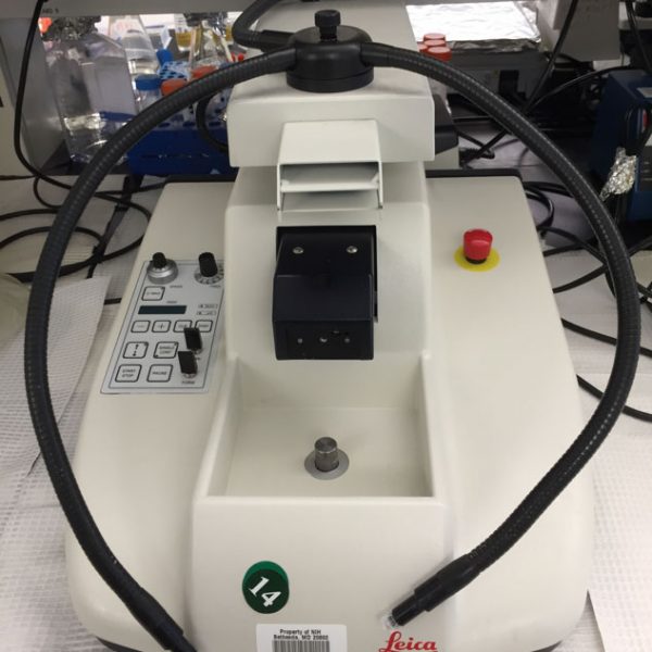 National Institute on Drug Abuse Intramural Research Program