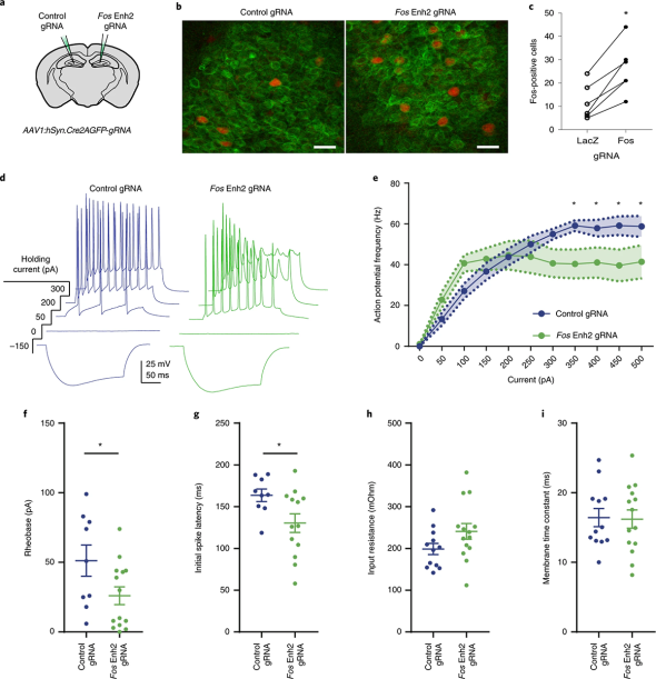 NIDA IRP Technology Development Initiative Featured Paper