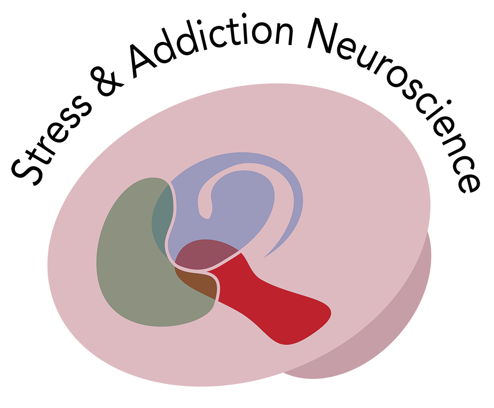 National Institute on Drug Abuse IRP - Stress and Addiction ...