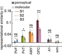 National Institute on Drug Abuse Intramural Research Program