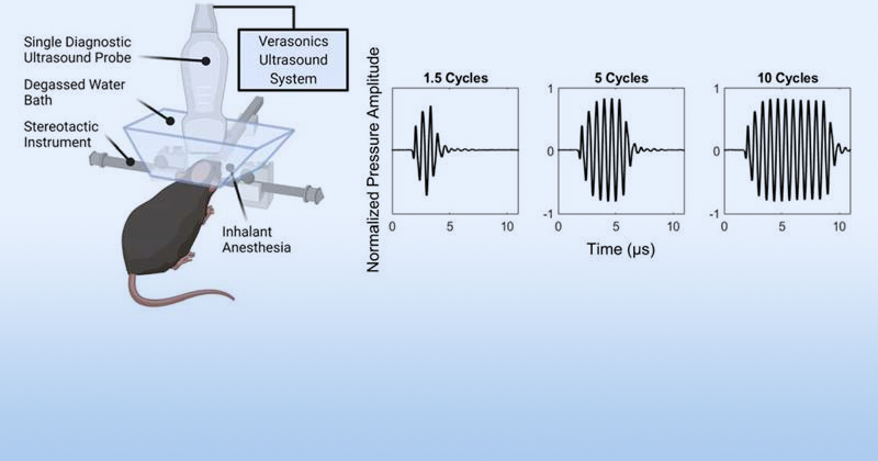 National Institute on Drug Abuse IRP - Technology Development