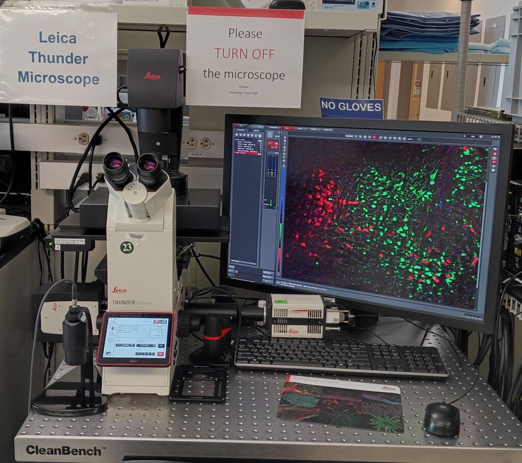 National Institute on Drug Abuse Intramural Research Program